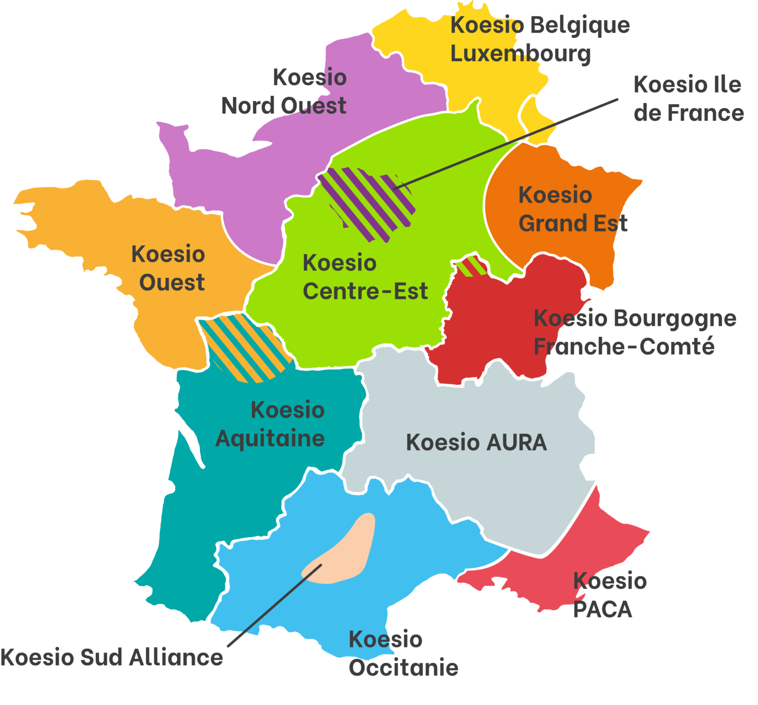 Nos entités - Koesio